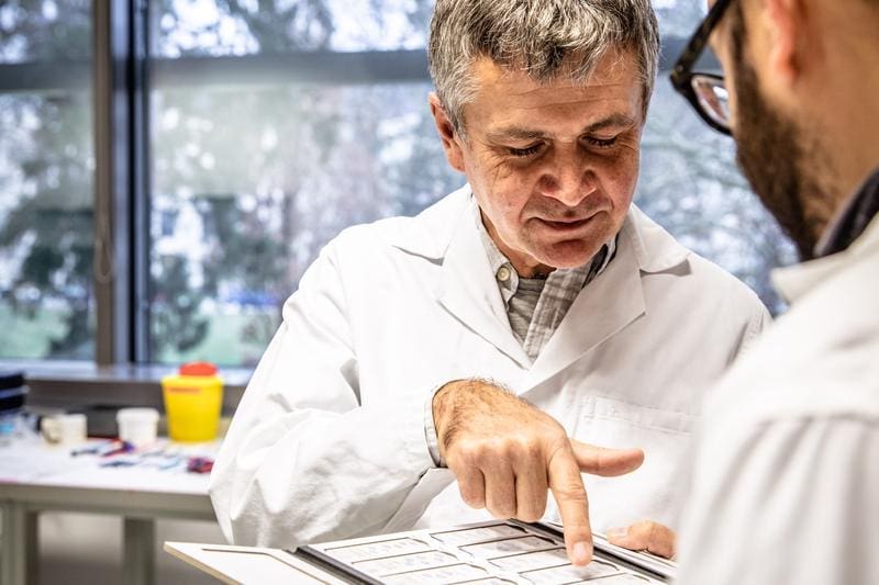 Neuronale Muster reorganisieren sich im Schlaf - MedLabPortal